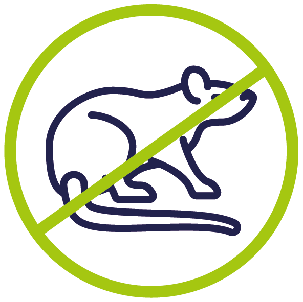 Dératisation Pays de Gex | Expert en Lutte Anti-Rongeurs🐀